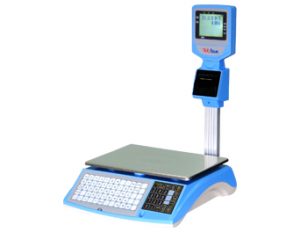 Cash Register Scale (CS6X Series) – Axis Technologies